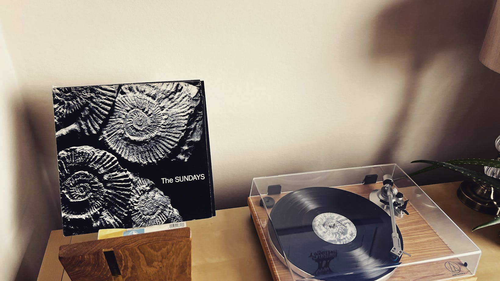 The Top Most Collectible 45 RPM Records & Valuable Tips ...
